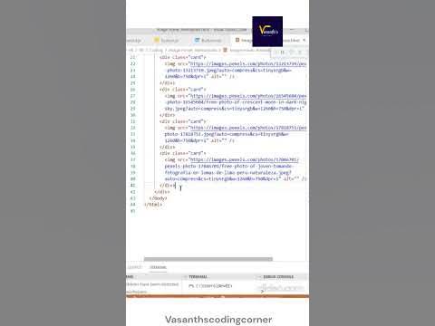 Unleashing Creativity: Image Hover Animations using HTML and CSS #html #css - YouTube