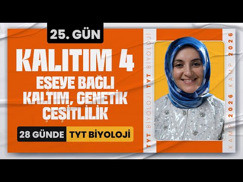 25) Kalıtım 4 | Eşeye Bağlı Kalıtım , Genetik Çeşitlilik | 2026 TYT Biyoloji Kampı 25. Gün