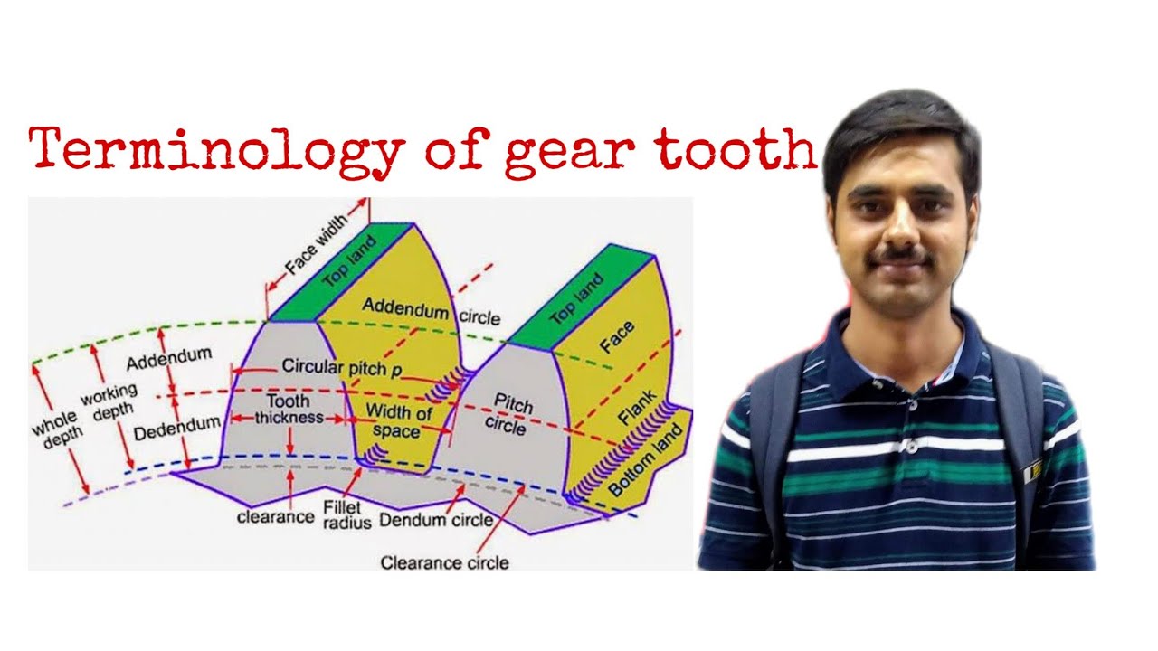 Terminology of Gear Tooth # Terms Used in Gear - YouTube