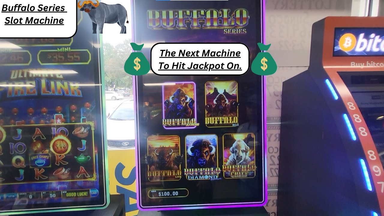 Buffalo Series Slot Machine WITH BONUS - ROAD TO 1000 SUBS - YouTube