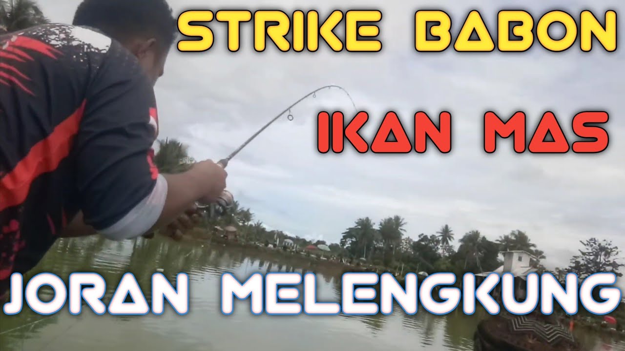 lomba mancing ikan mas - YouTube