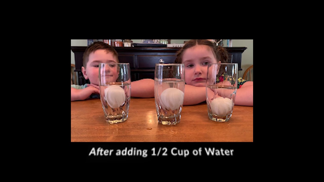 Incubation and Embryology - Lesson 4: Science Experiments with Eggs ...