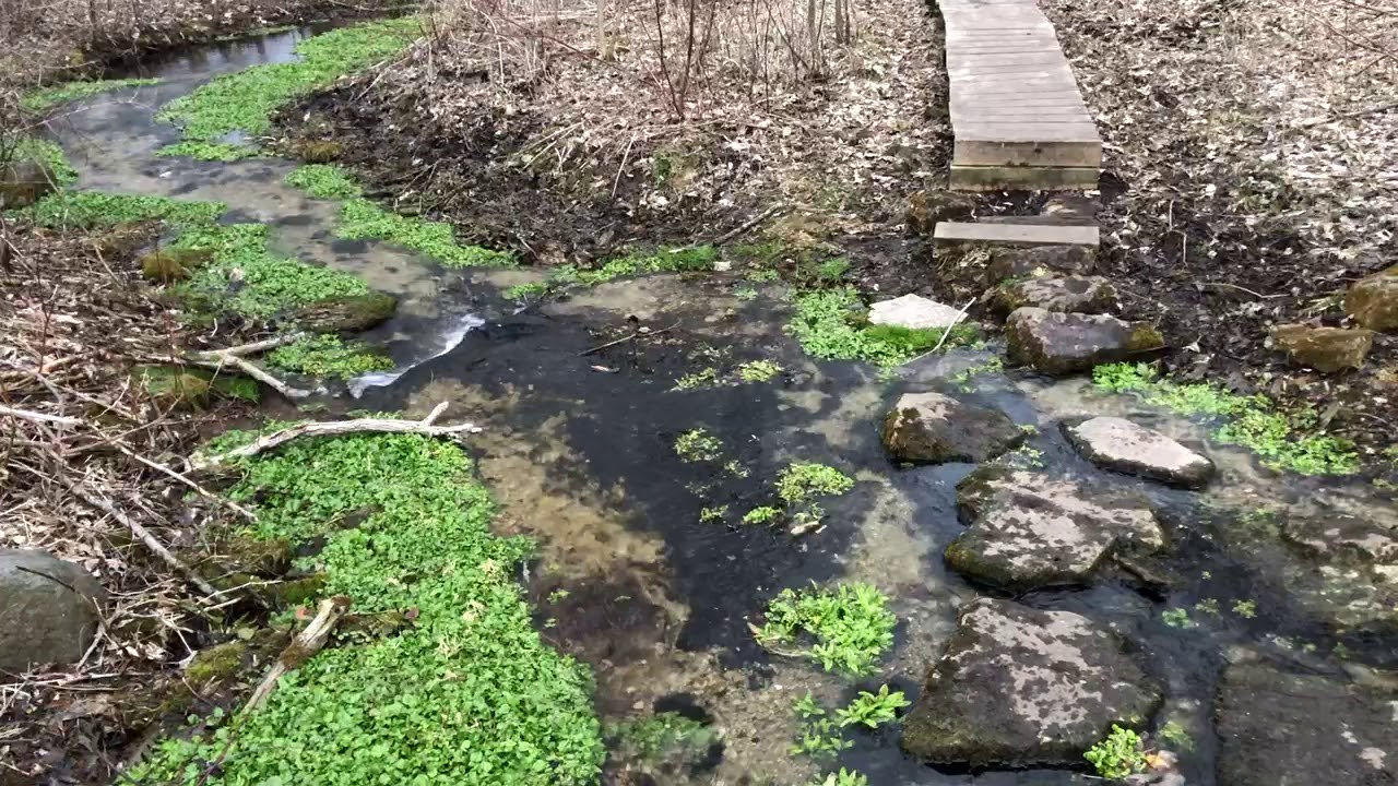 Council Ring Spring on April 4, 2019 - YouTube
