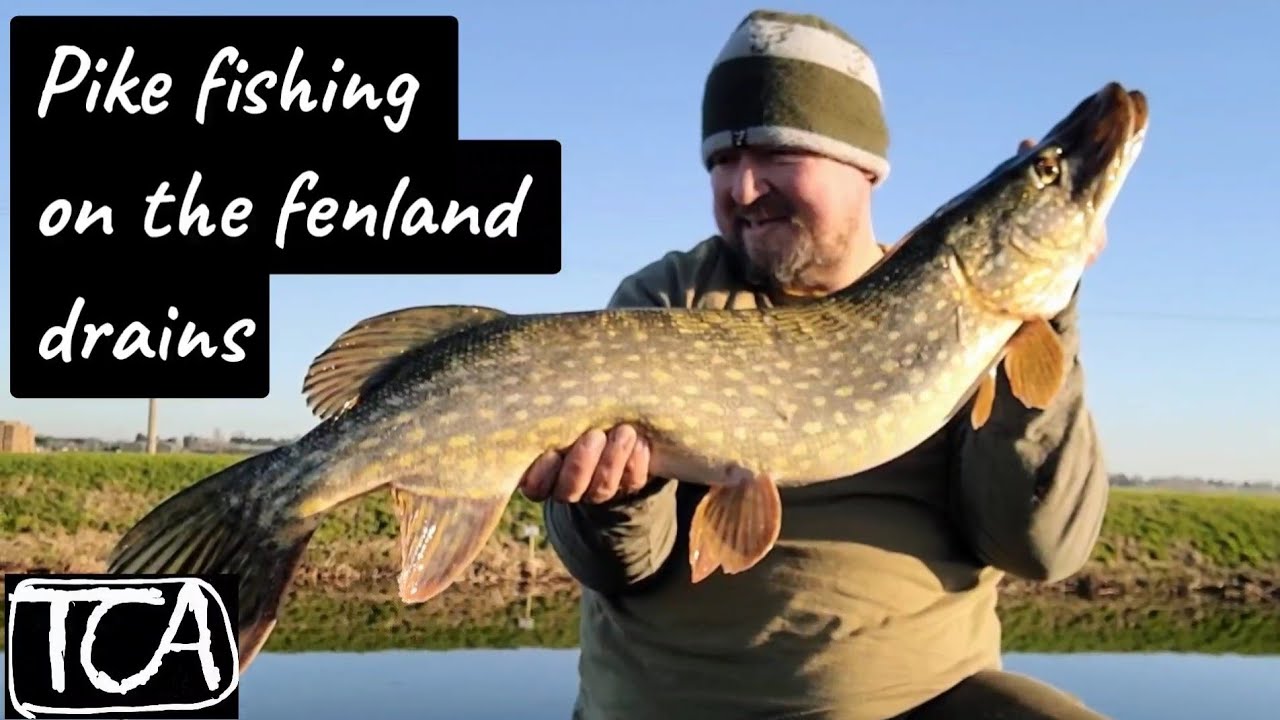 Pike fishing on the fenland drains using deadbaits VID 014 - YouTube