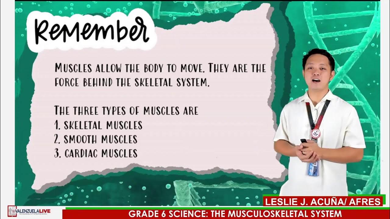GRADE 6 SCIENCE Q2 THE MUSCULOSKELETAL SYSTEM - YouTube