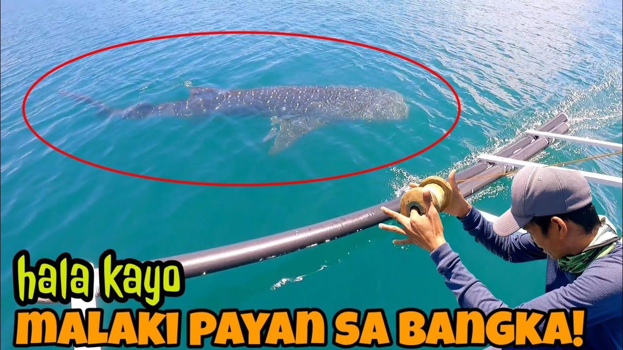 EP165: part1- BUTANDING natyempuhan😮 DELIKADO BA ANG PATING NA TO?? MAS ...