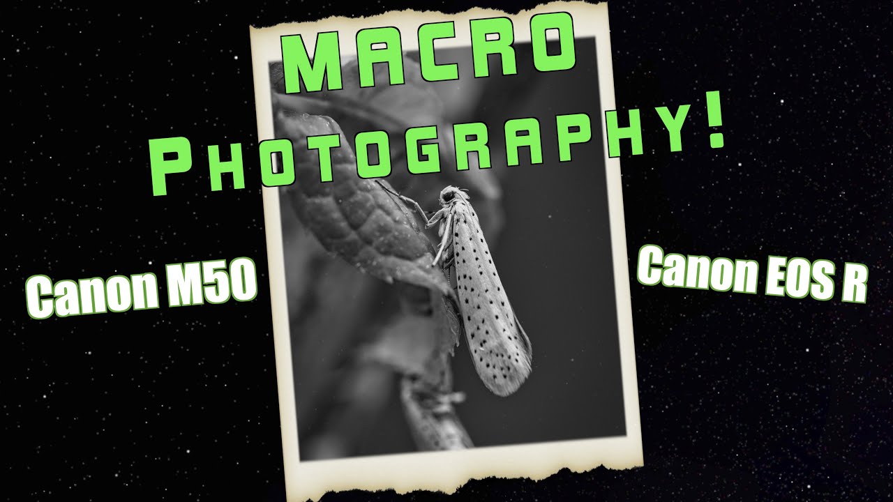 Beginner tips for MACRO PHOTOGRAPHY - Canon EOS R and Canon M50 - YouTube