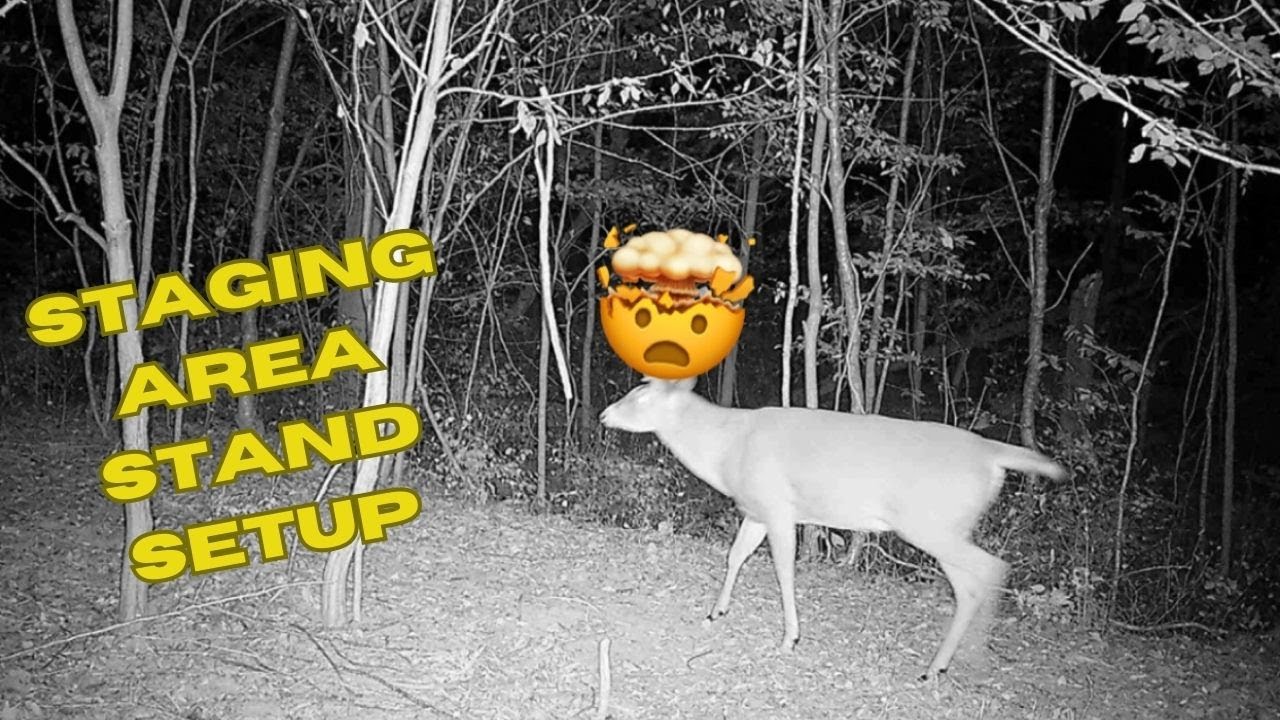 Staging Area Stand Setup | FIRE Spot! - YouTube