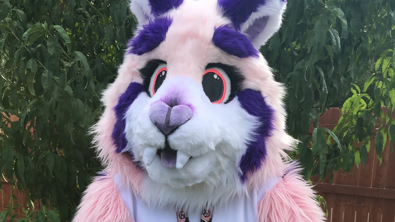 Biscuit The Red Panda | Fursuits Behind The Scenes | - YouTube