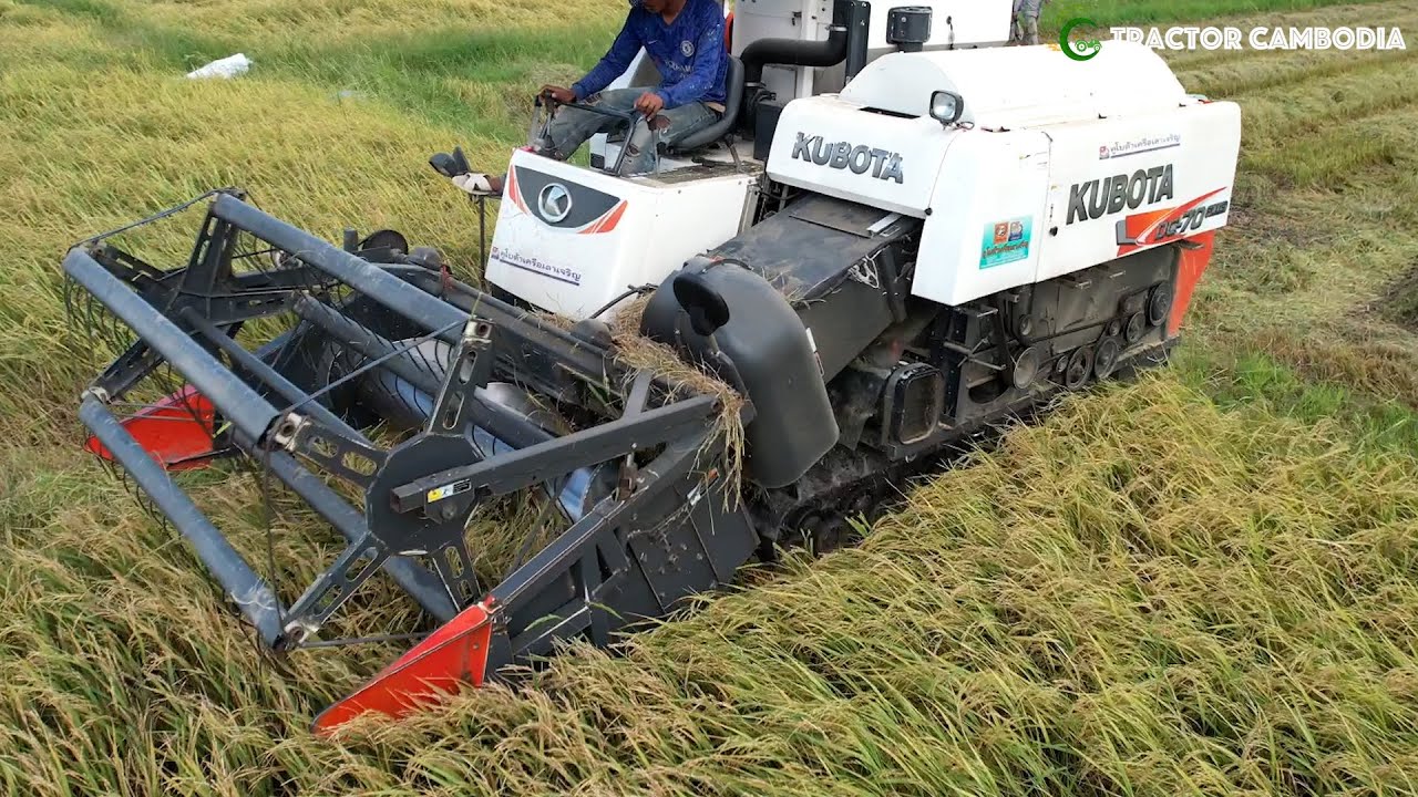 Farm rice & Rice harvester working machine | Increase rice cutting ...