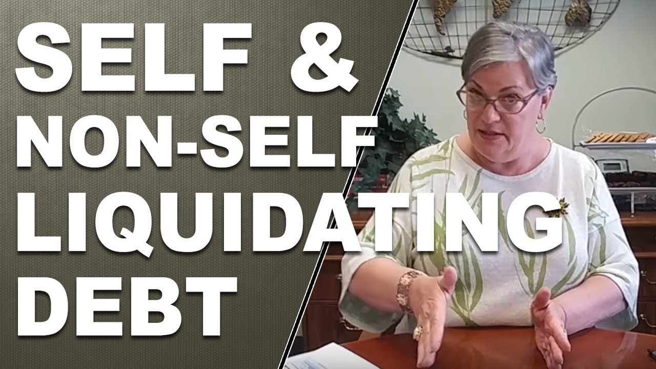 Two Types of Debt - Self Liquidating Debt - Non Self Liquidating Debt ...