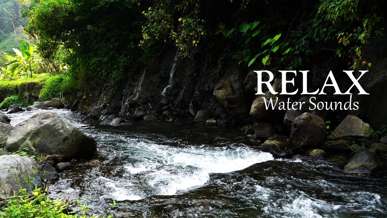 ASMR River Sounds with Bird Calls | Relaxing Nature Ambience for ...