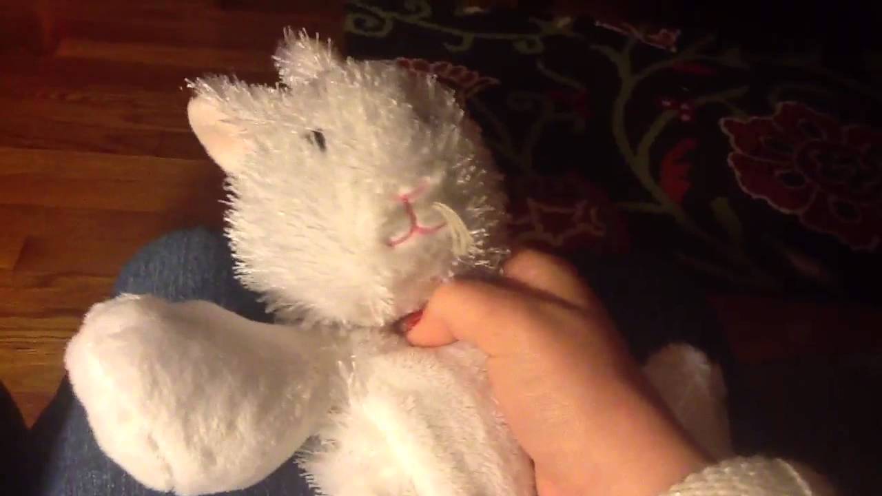 This s a video about the webkinz rumors - YouTube