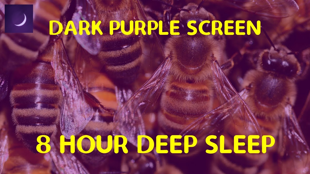 Relaxing Sleep Music-Healing Sounds-8 Hour Dark Purple Screen - YouTube
