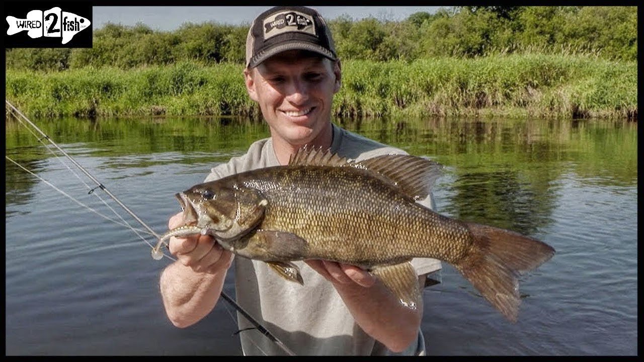 How to Target River Grassline Bass With Swimbaits - YouTube