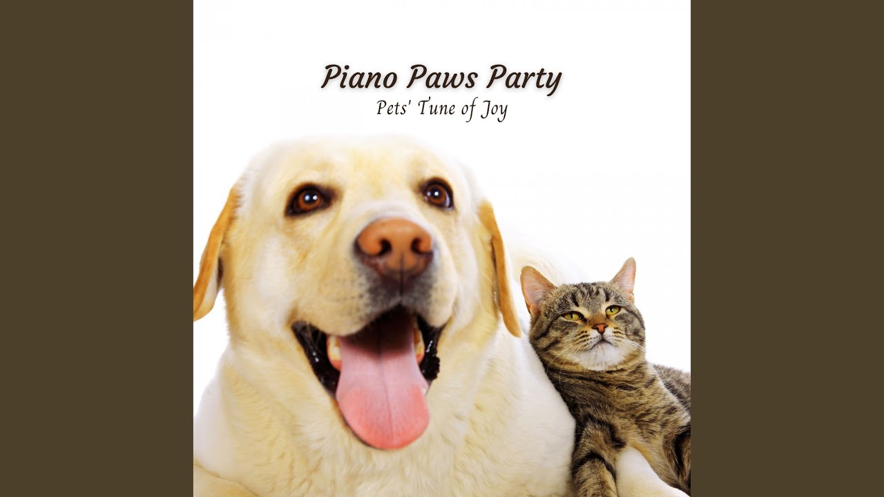 Paws Joyful Beat - YouTube