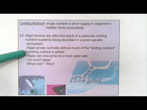 Limiting Nutrients - YouTube