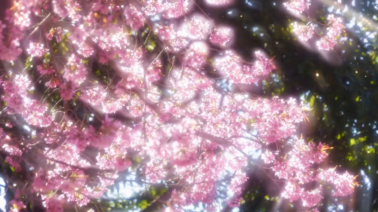 your life is your story. write well. ~ music playlist for moments of ...