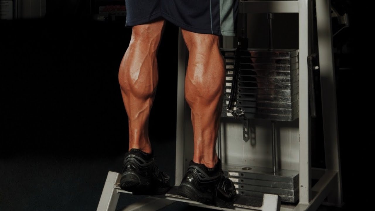 LEG DAY BLITZ: Build Tree Trunk Legs - YouTube