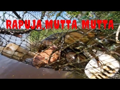 RAPUJA, MUTTA MUTTA - YouTube