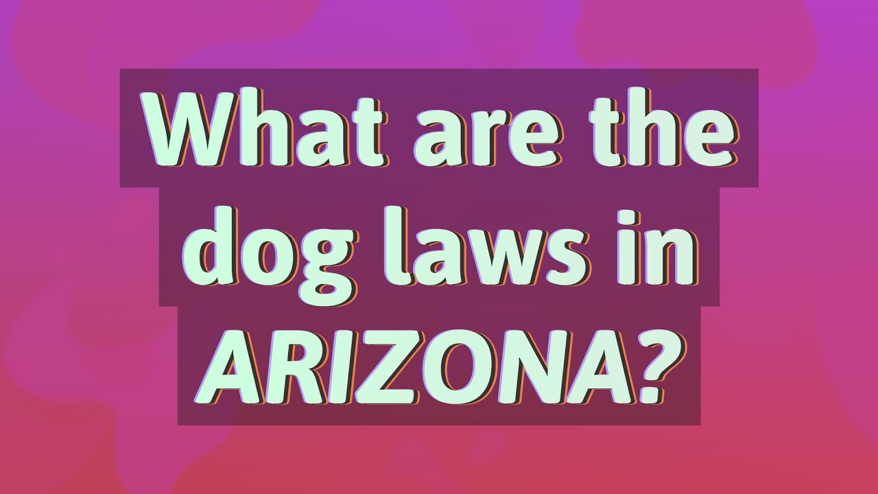 What Are The Dog Laws In Arizona YouTube what-are-the-dog-laws-in-arizona-youtube