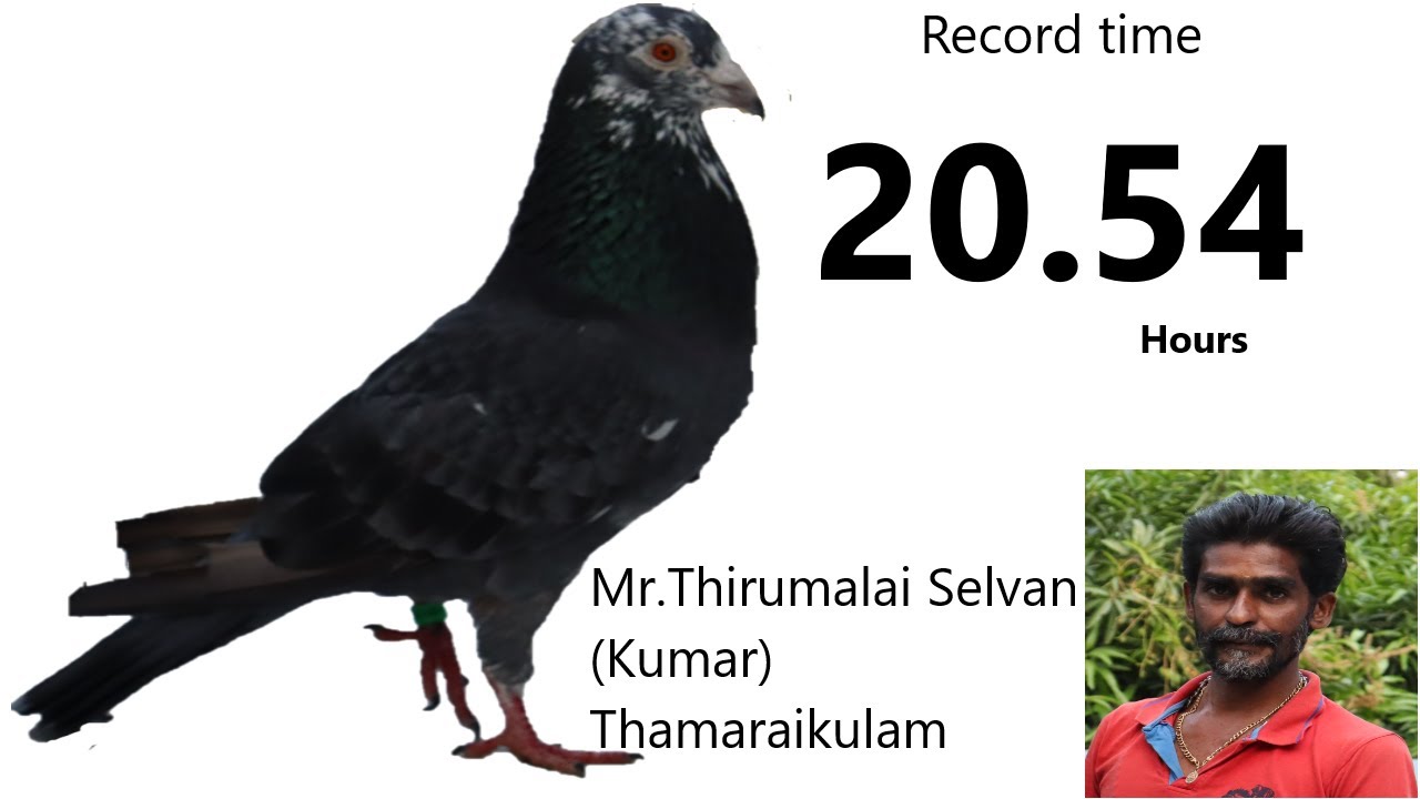 Mr.Thirumalai Selvan(kumar) - YouTube