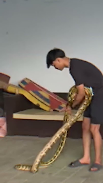 MAS NAJIB BERANI BANGET YA!!!😱#garudawisnusatriamuda#masnajib#teamgwsm#fyp#shortvideo#moots ...