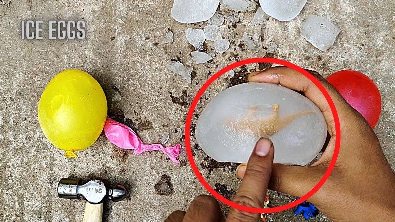 Animals ICE Balloons | ICE Balloon Surprise | Giant ICE Balloons | Animals ICE Eggs Part - 0 ...