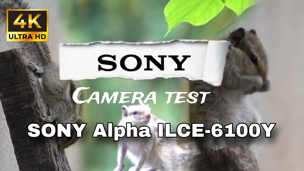 "Discover the Power of the SONY Alpha ILCE-6100Y Camera ...