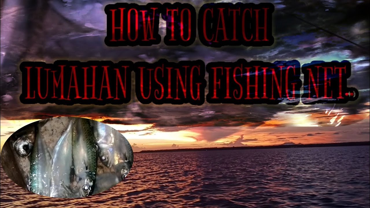 TRADITIONAL NET FISHING " KURANTAY BARANGAY" HOW TO CATCH LUMAHAN ...
