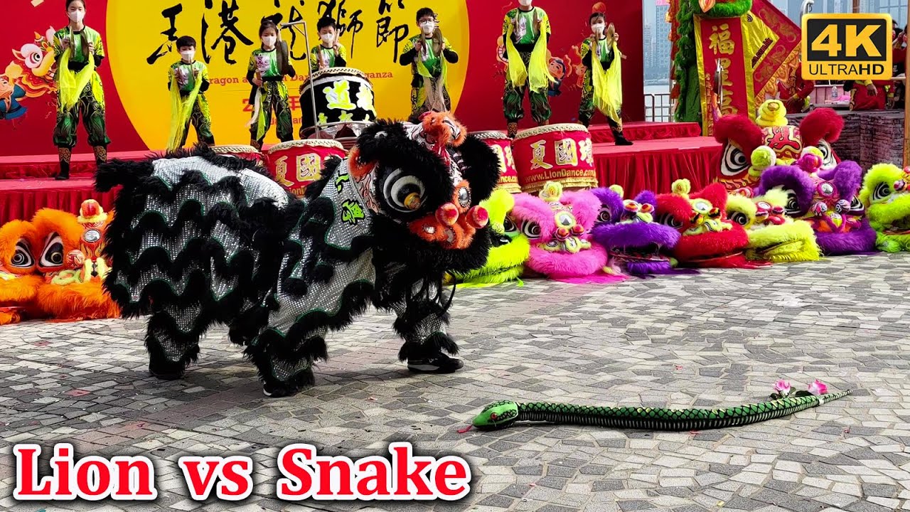 Lion vs Snake - 2023 New Year's Day Lion Dance Performance in Hong Kong ...