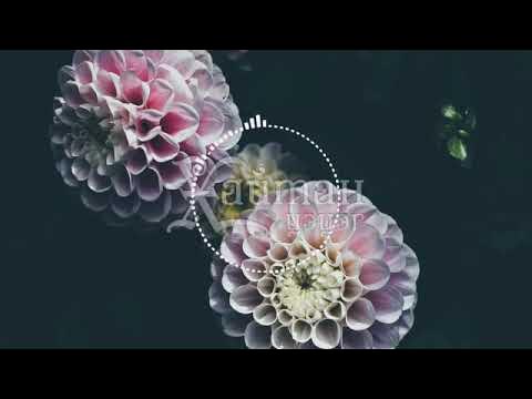 Haitan tsetseg - YouTube