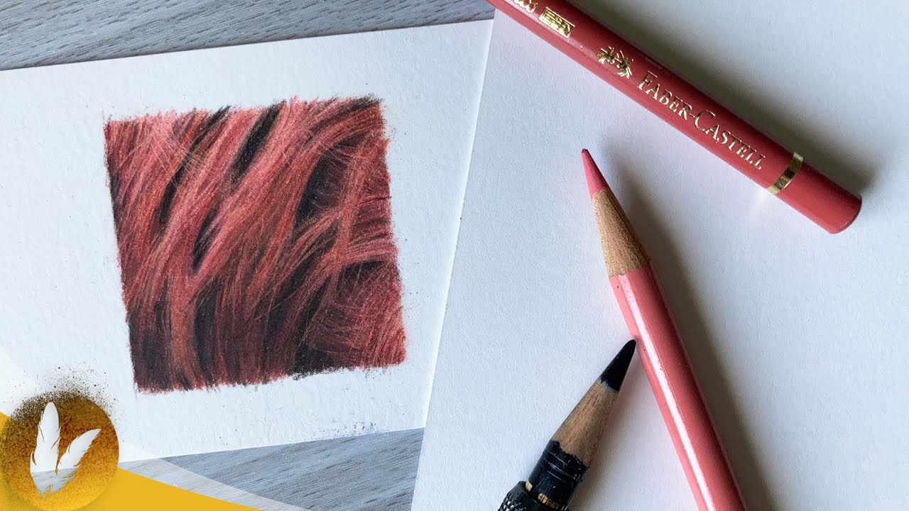 How To Draw Long Fur With Colored Pencils - Beginner Colored Pencil ...