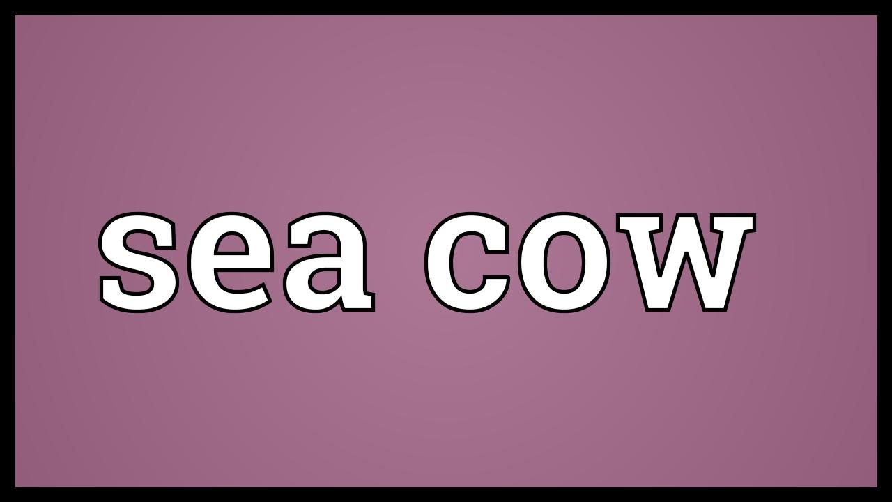Sea cow Meaning - YouTube
