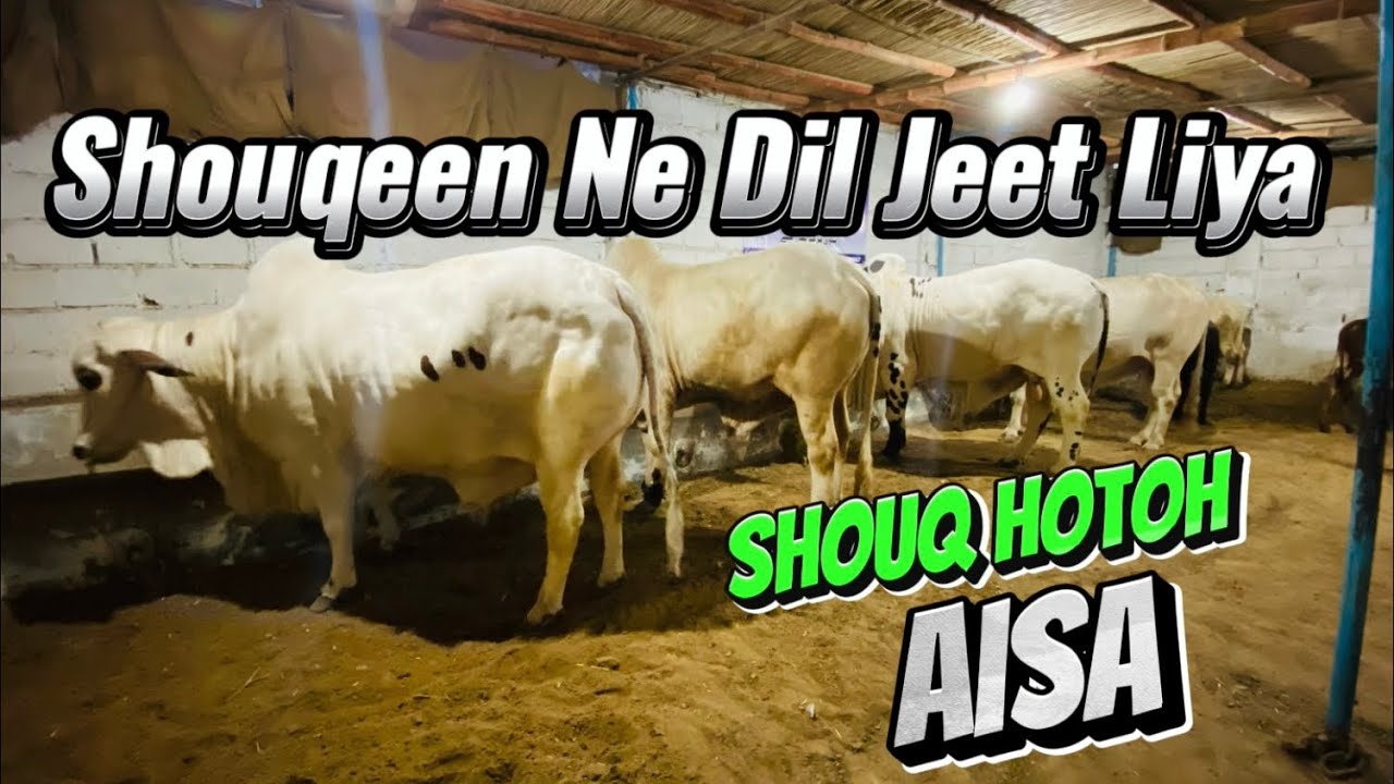 120 gaz ke plot me itna bara shouq || Shahzad bhai nazimabad wale - YouTube