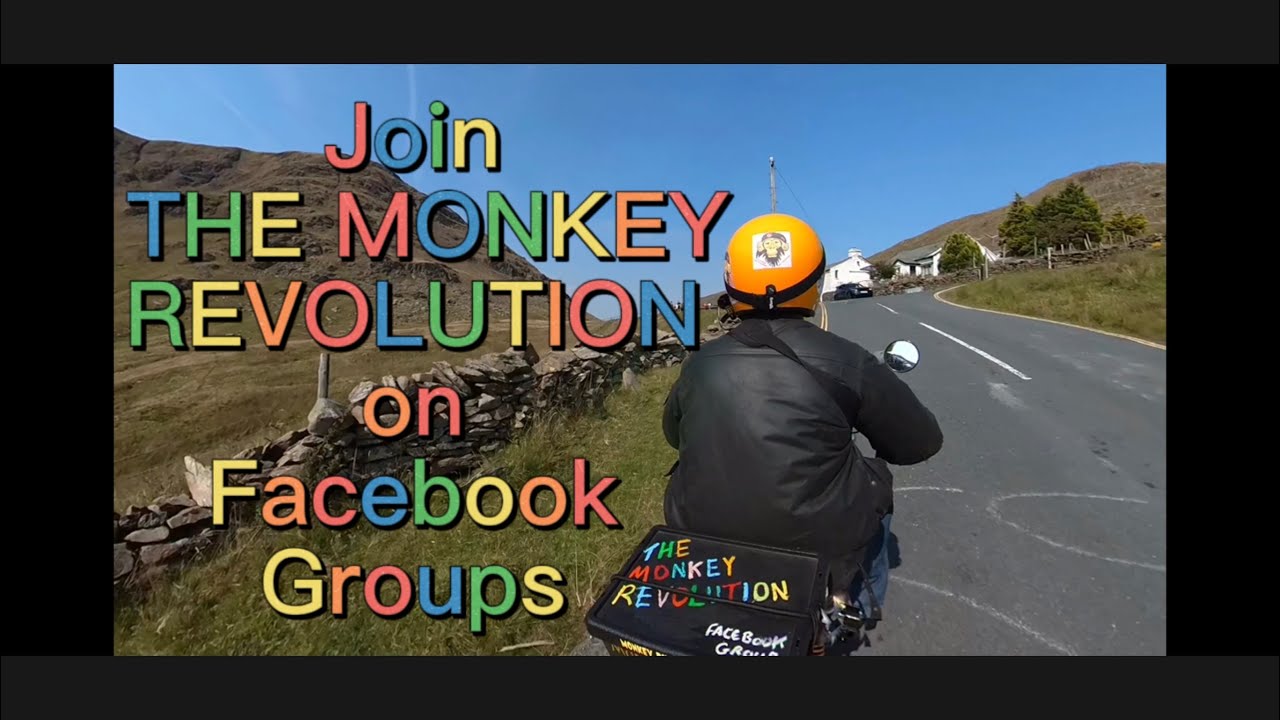 Join THE MONKEY REVOLUTION - YouTube