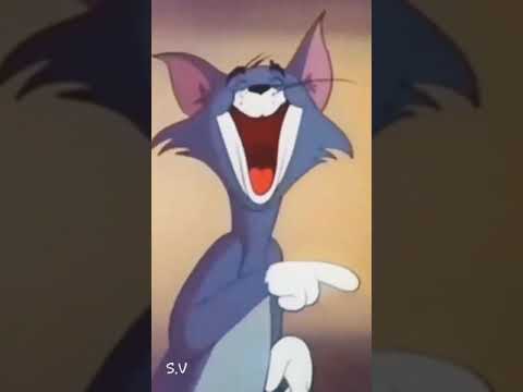 Funny Tom Laughing - YouTube