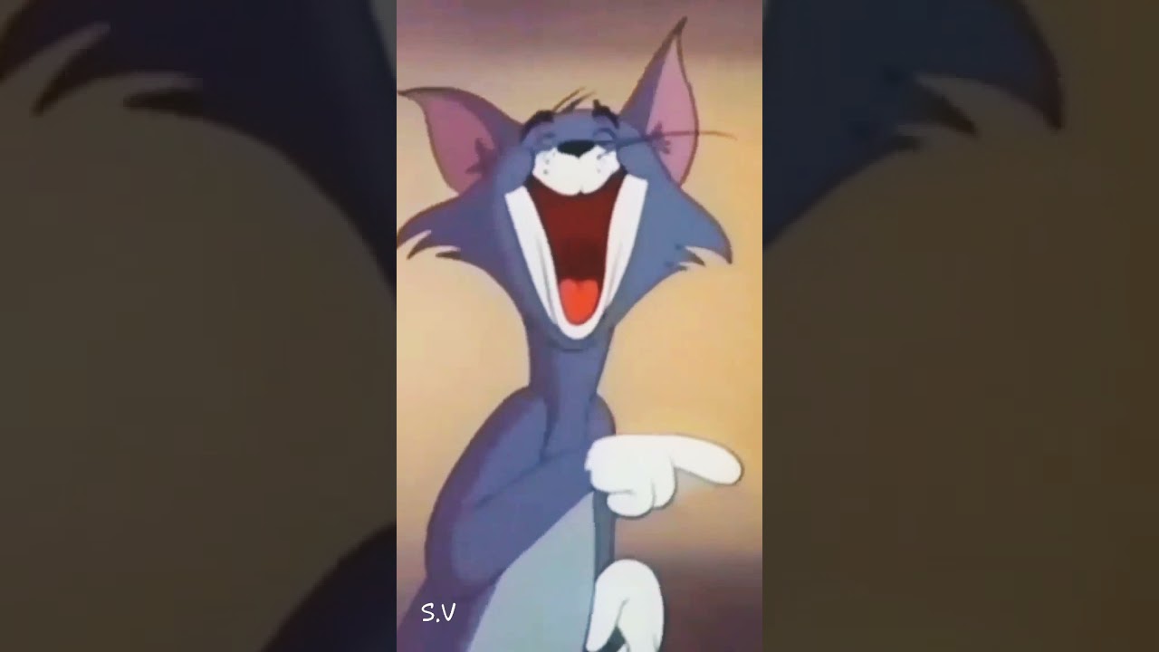 Funny Tom Laughing - YouTube