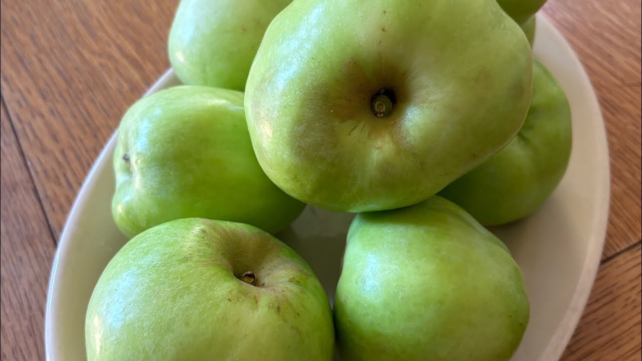Apple Genetics 101 - YouTube