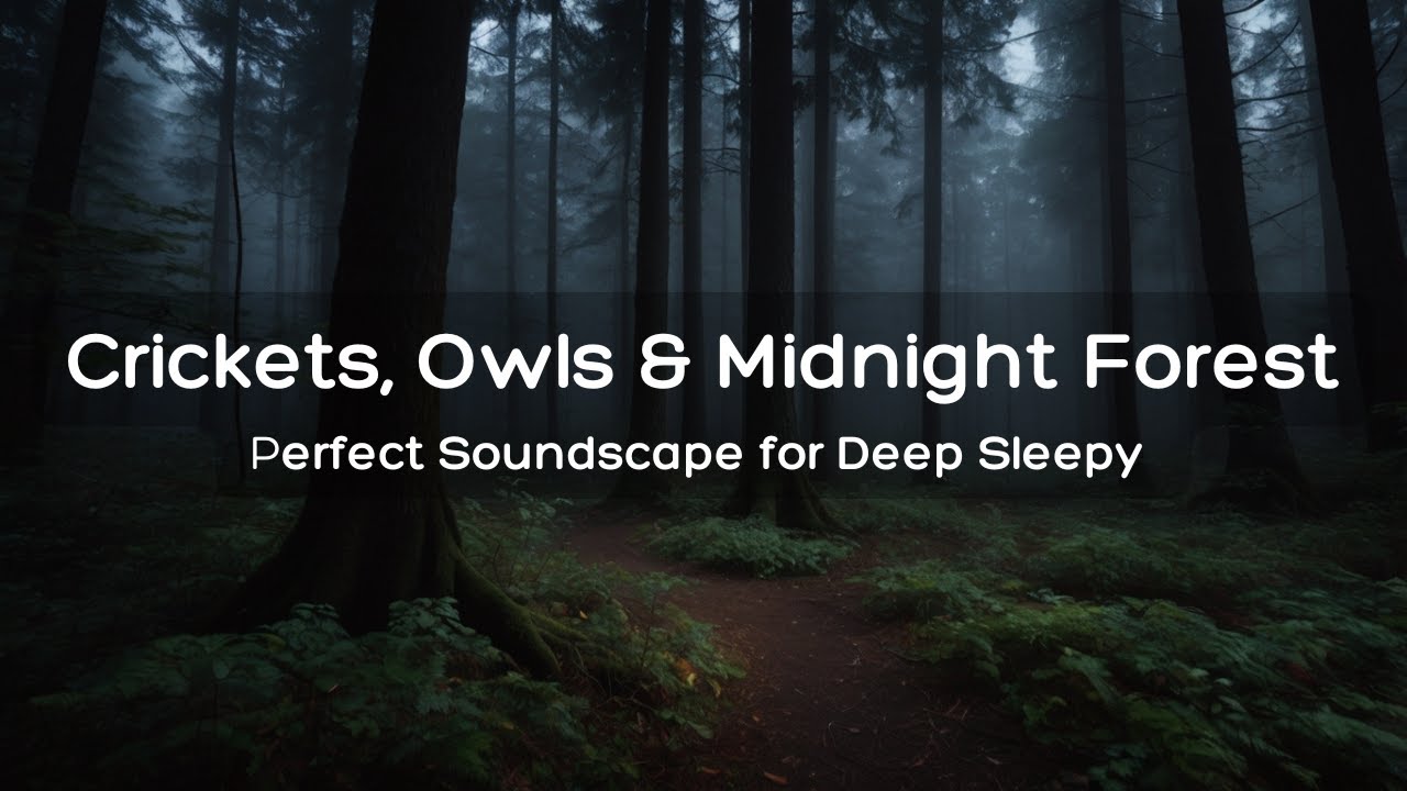 2 Hour Deep Forest Night Ambience 🌲🌌 Real Crickets & Owl Sounds for ...