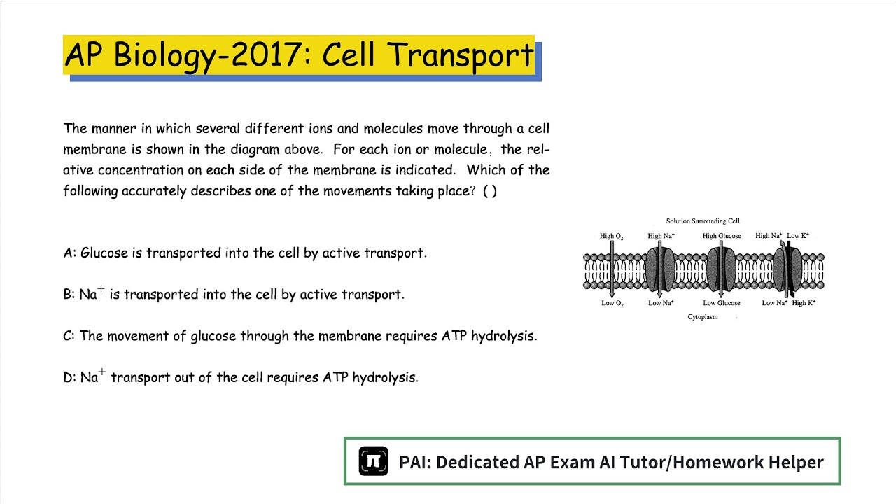 2017 AP Biology: Cell Transport: Cell Biology - YouTube