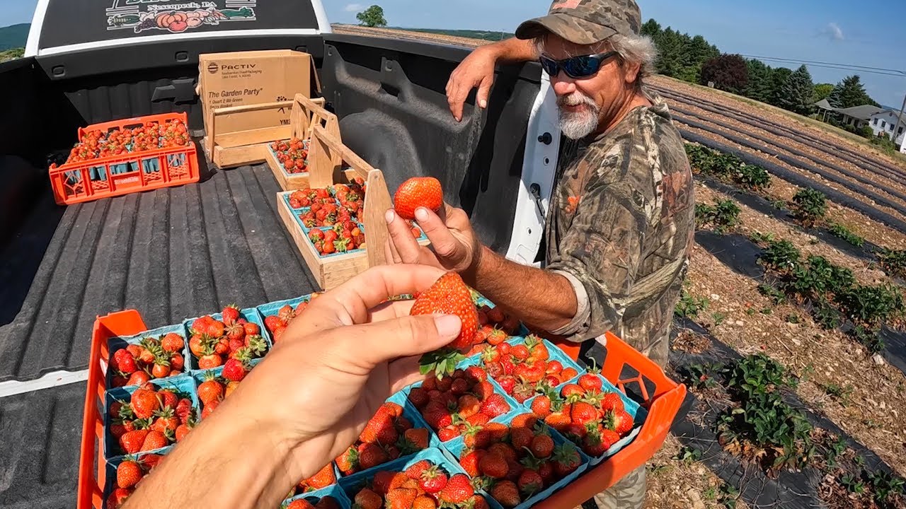 The LARGEST Harvest - YouTube