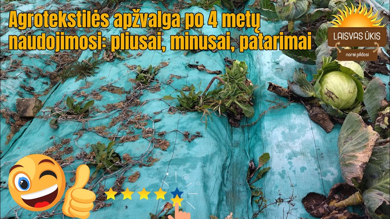 Agrotekstilės apžvalga po 4 metų naudojimosi: pliusai, minusai ...