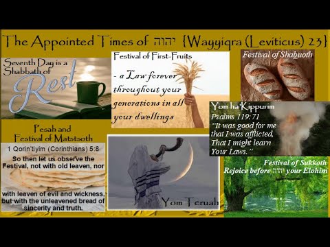 Wayyiqra (Leviticus) Chapter 23 - The Appointed Times of יהוה - YouTube