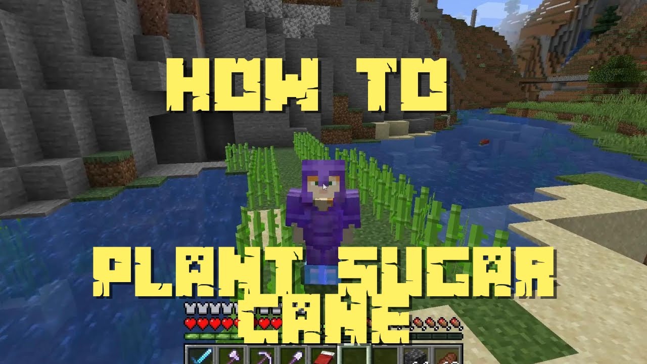 How To Plant Sugar Cane Minecraft YouTube how-to-plant-sugar-cane-minecraft-youtube