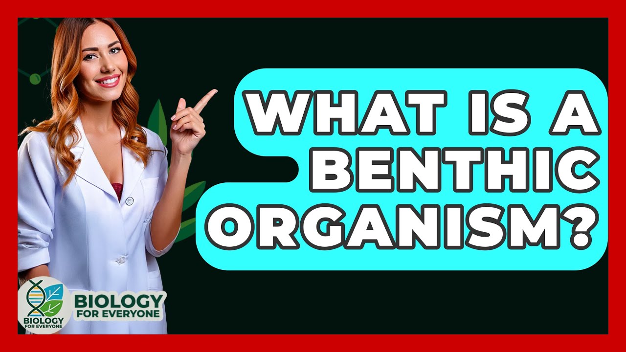 What Is A Benthic Organism? - Biology For Everyone - YouTube