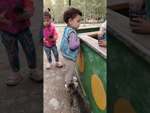 27.07.2024 MaaşAllah çiçəyimizə, al Laləmizə. Allah qorusun