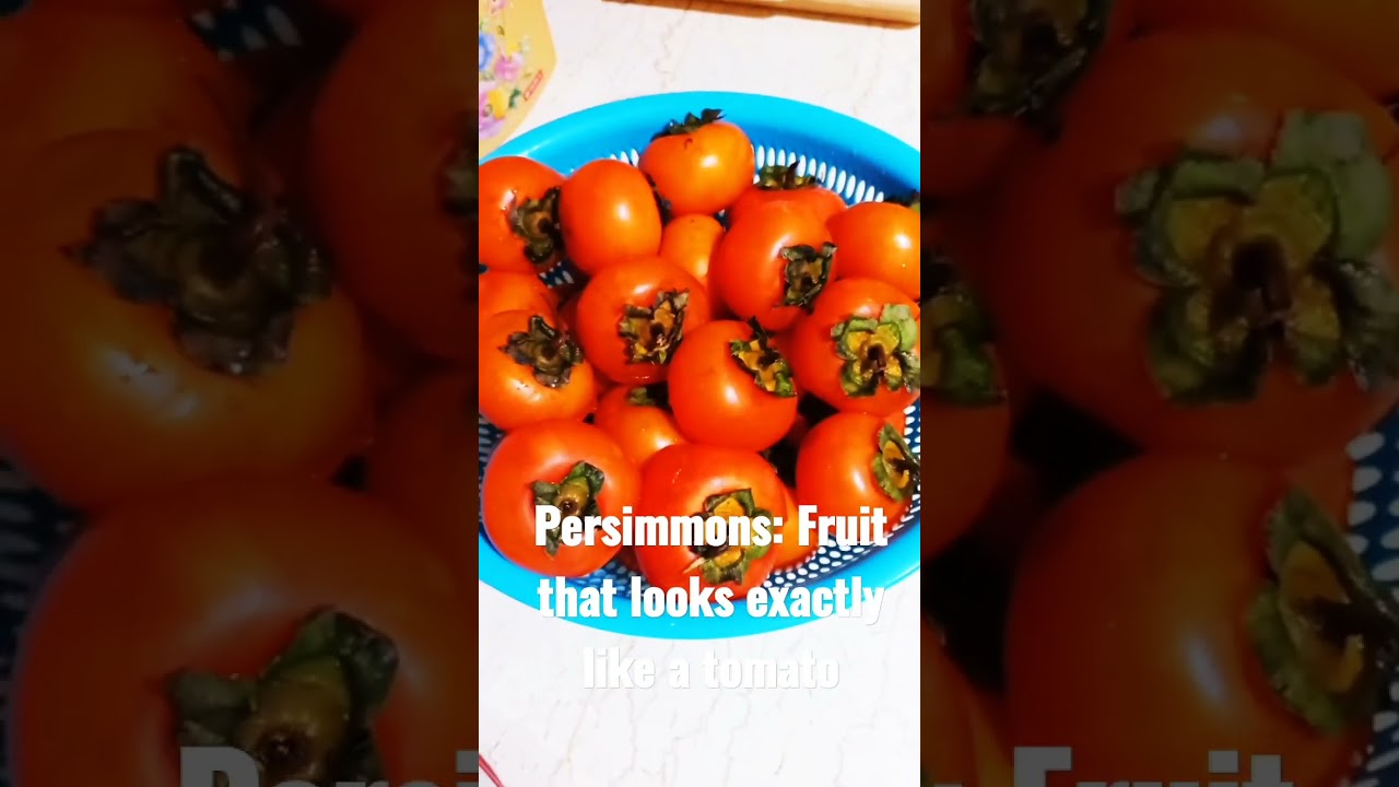 Persimmon: Fruit that looks exactly the same as tomato - YouTube