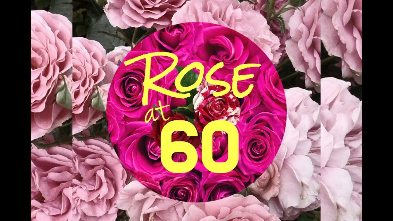 ROSE 60th BIRTHDAY AVP - YouTube