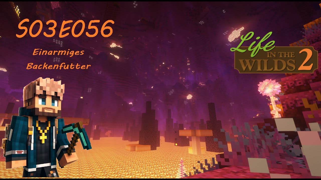 LitW 2 - S03E056 - Einarmiges Backenfutter - Minecraft Let´s Play - YouTube